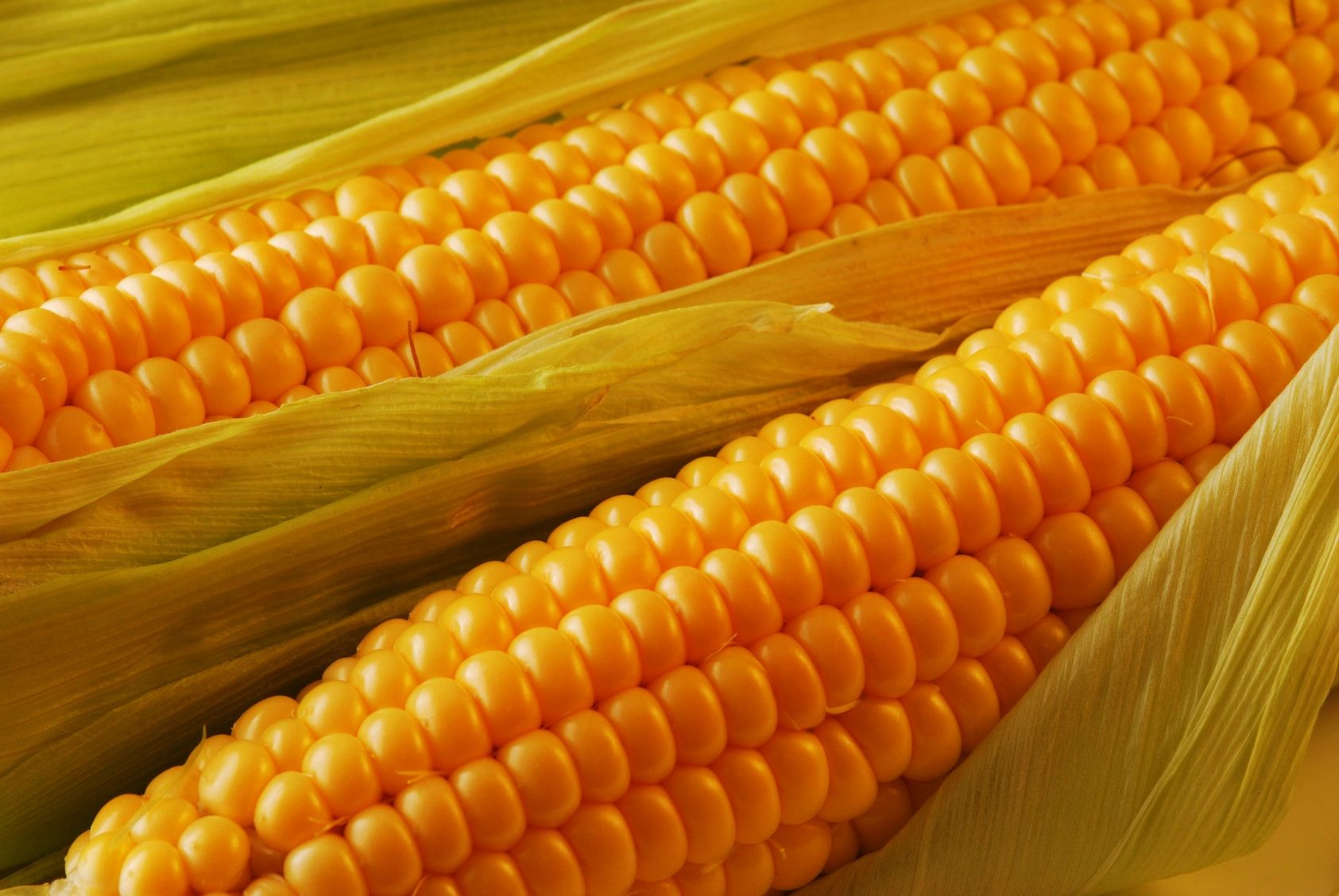 Corneey's - Corn on the Cob, Food Truck, Popcorn