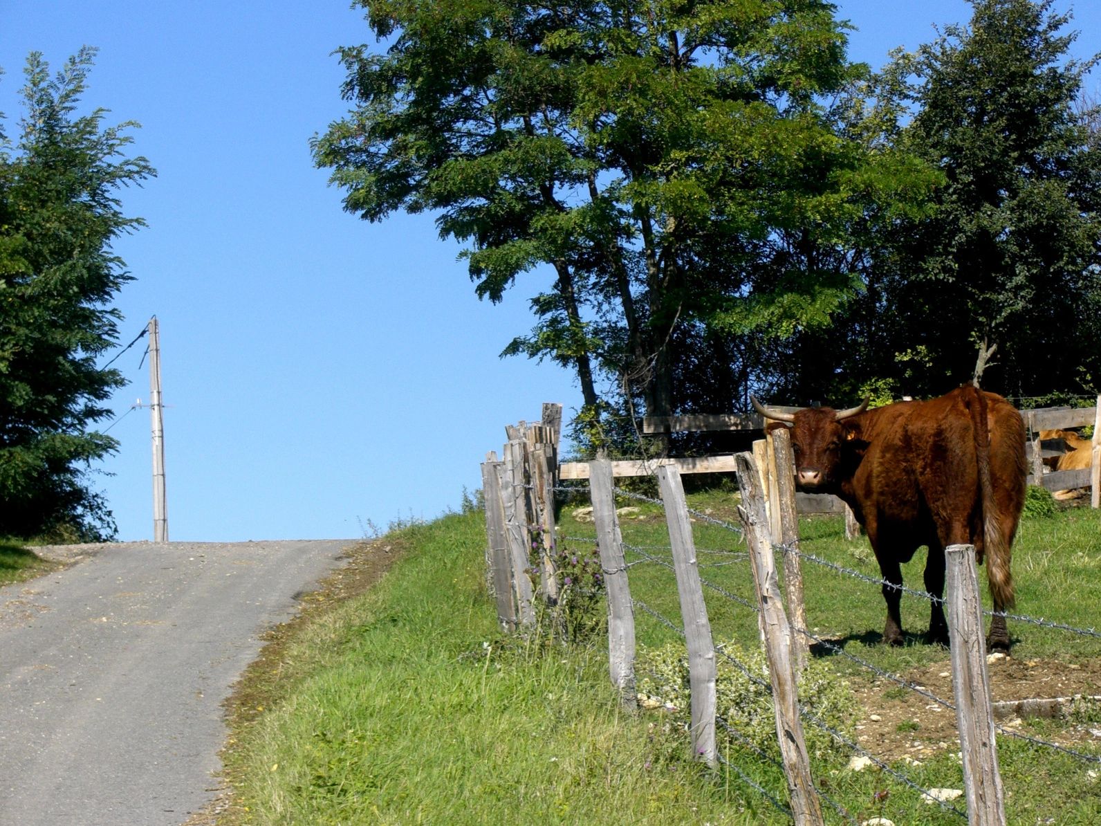 A Basic Guide To Land Shopping