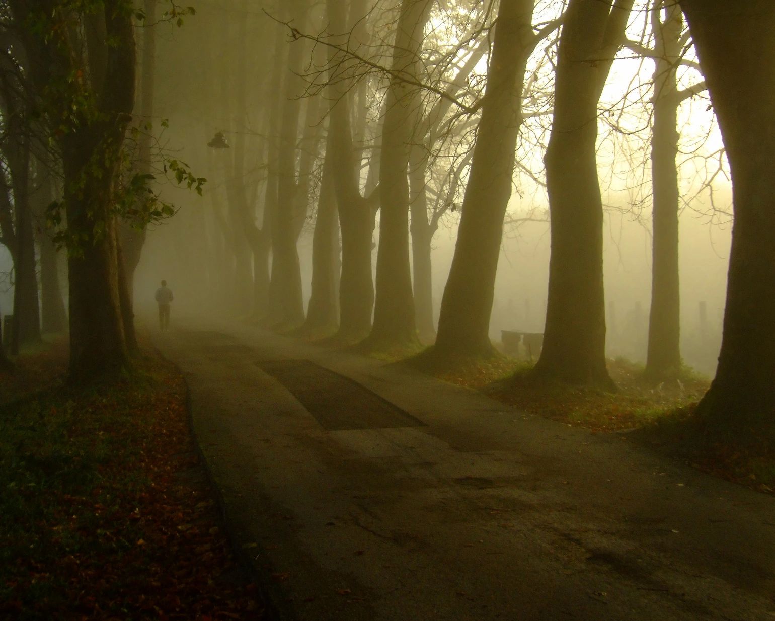 Explore Paranormal Studies at CryptidParanormal.com