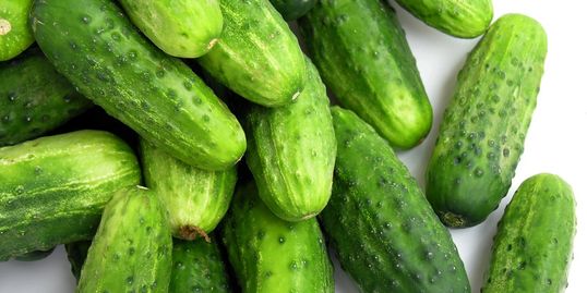 Tasty Pickles by Carson