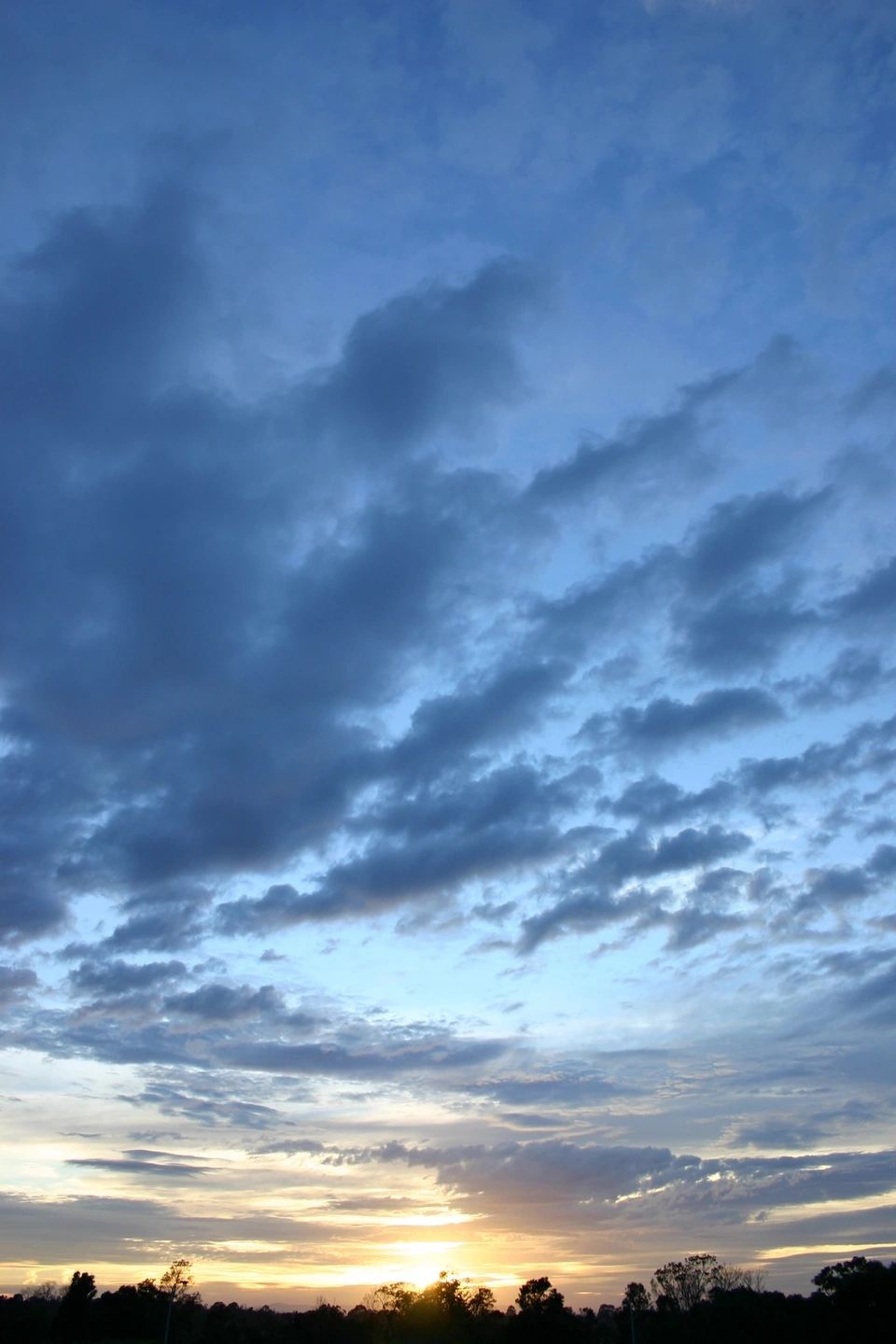 Made New 3-Part Series