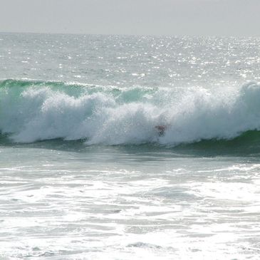 Shell Offshore Pioneers