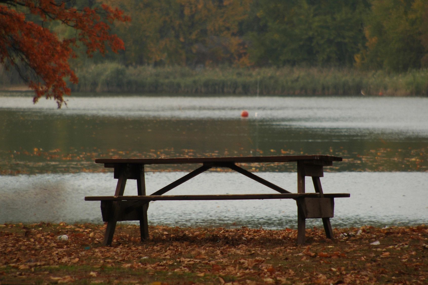 Pathways Therapy and Wellness Center