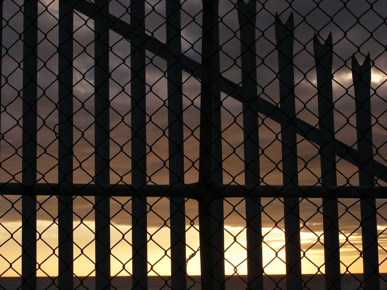 Detainee Locator System: How to Find Someone in Custody