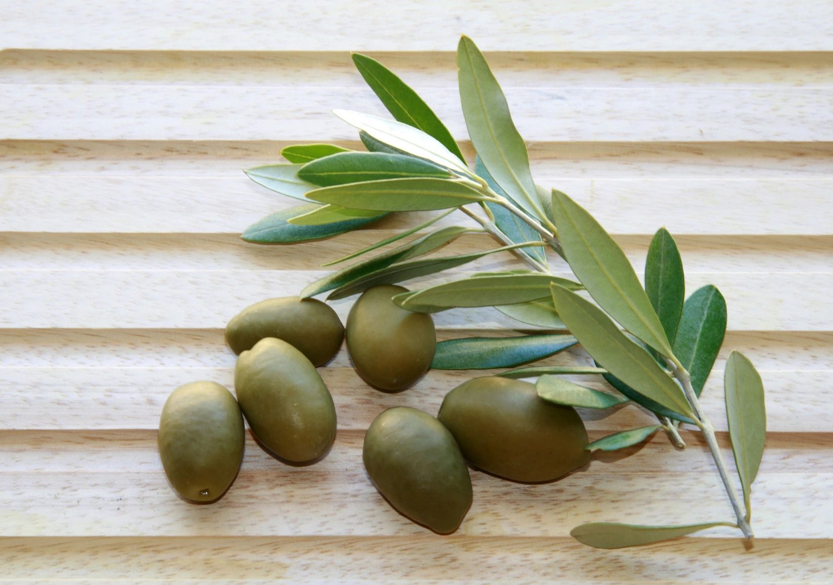 Key West Olive