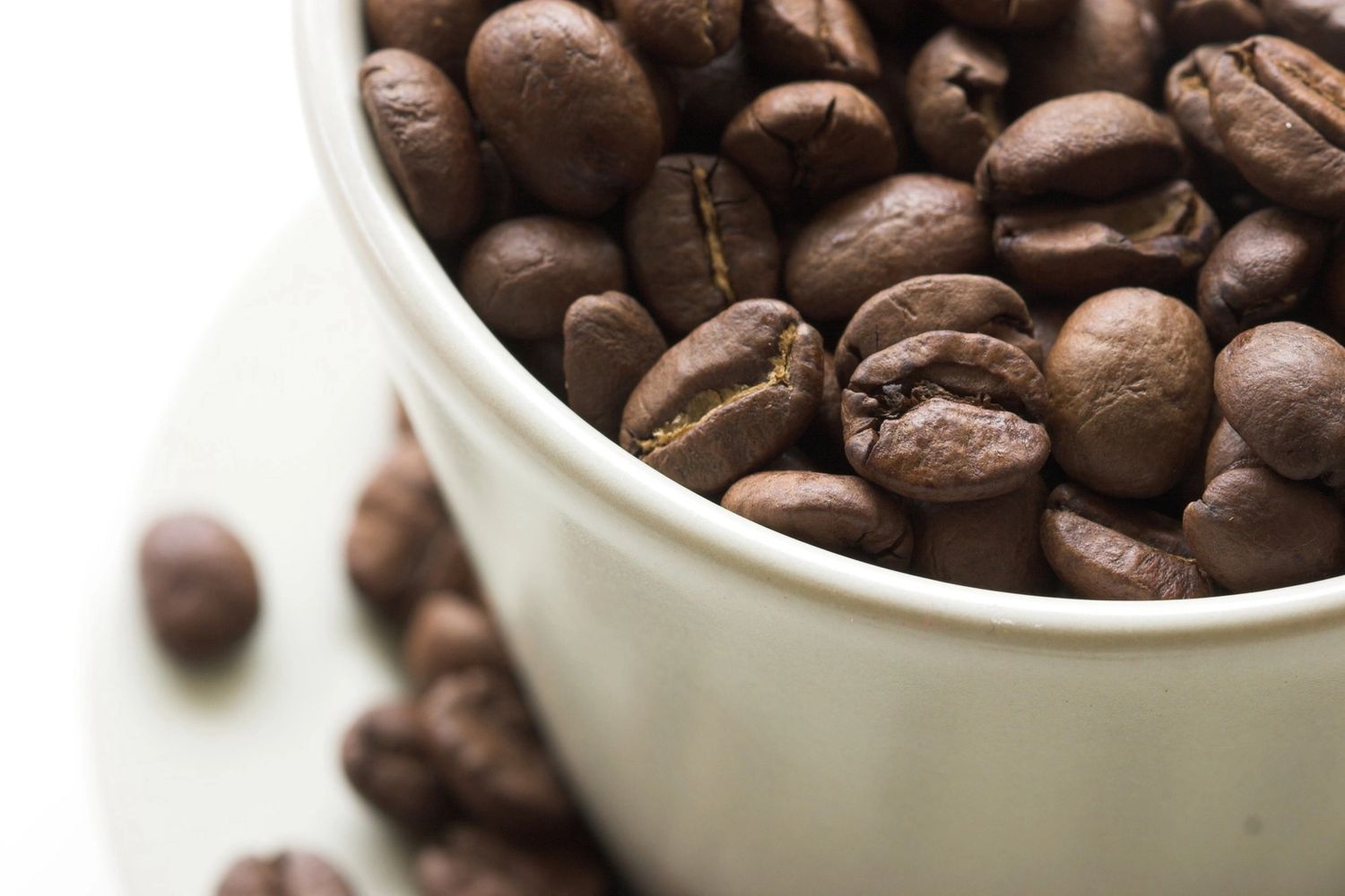 Mornings in Paris | Café in Southern Maine | Home