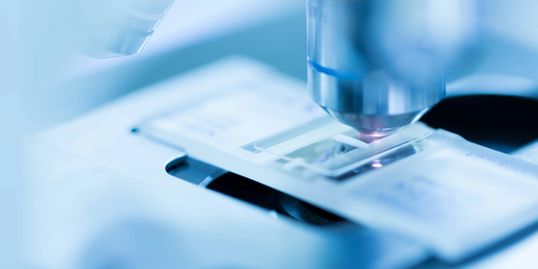 BiCell Scientific Inc - Medical Research, Blood Brain Barrier