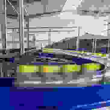 Mako Plastics - Buckets, Pails, Plastics Injection Moulding