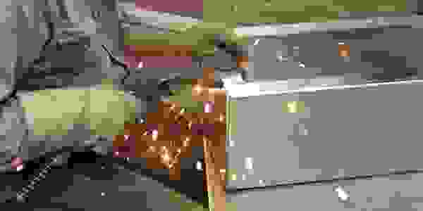 Juniper Overland - Adventure Vehicle Outfitters