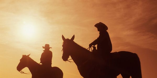 TC Ranch Horsecamp - Horse Camp, Horse, Horseback Riding