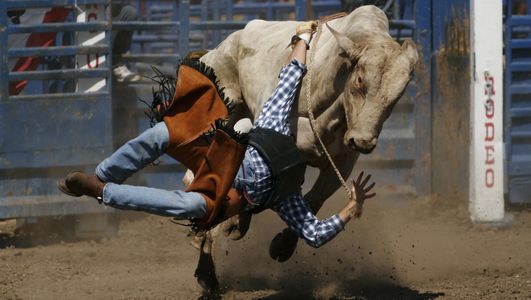 The Safe Chute - Bull Riding, Bull Riding, Rodeo, Rodeo Chutes