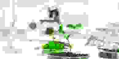 Cecilia Tech - Magicare - Ontario, California