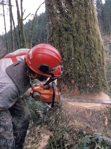 Libra Landscaping LLC