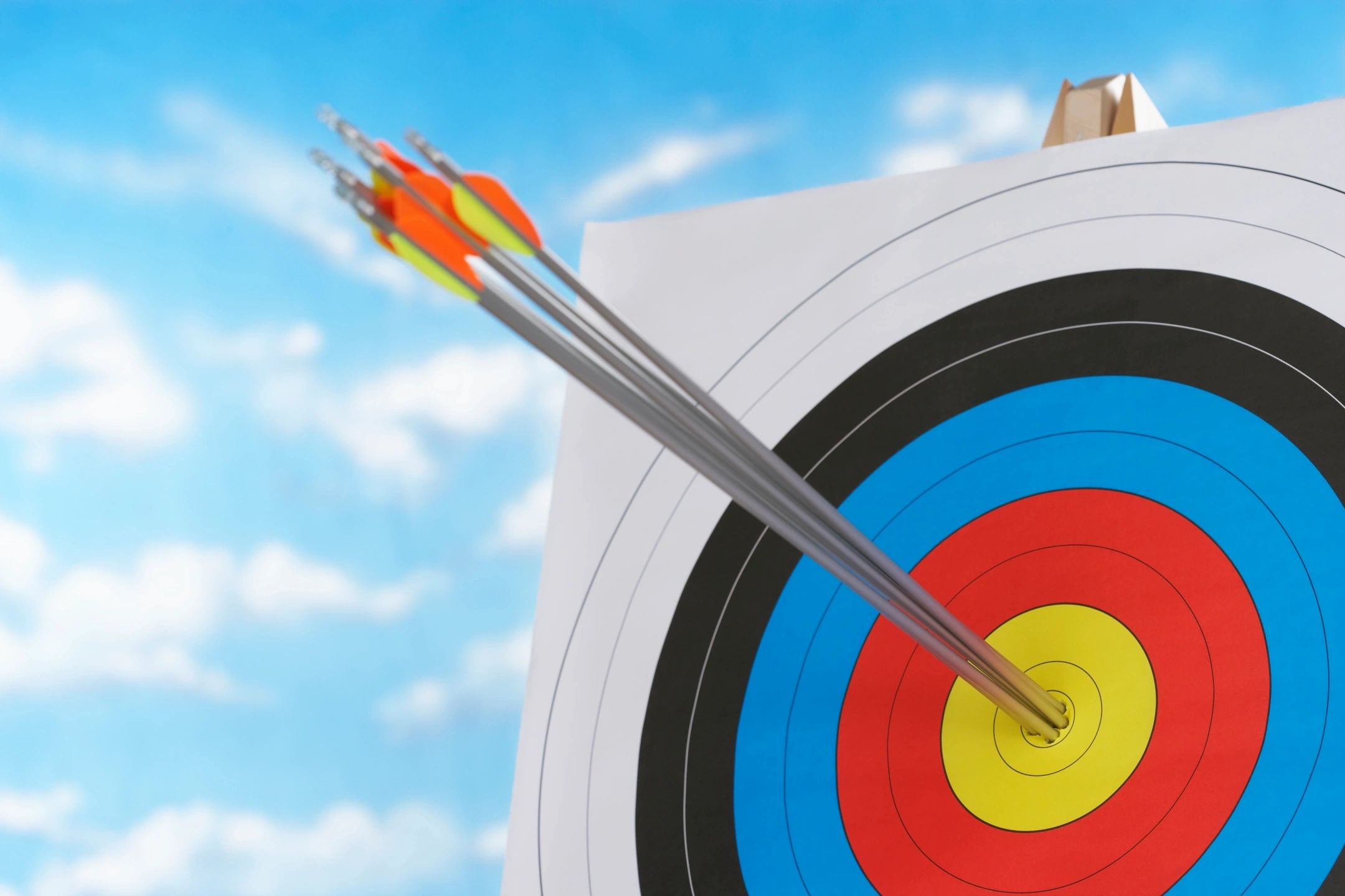 Sunshine Coast Archery Club