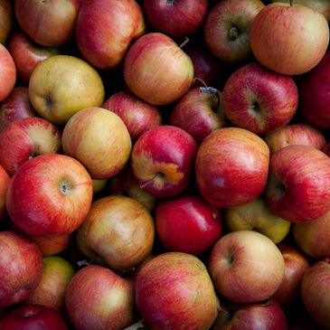 Fresh Fruits and Vegetables - Adams apple