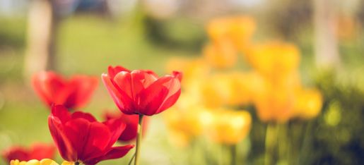 O2 Living Sanctuary - Health and Wellness Center