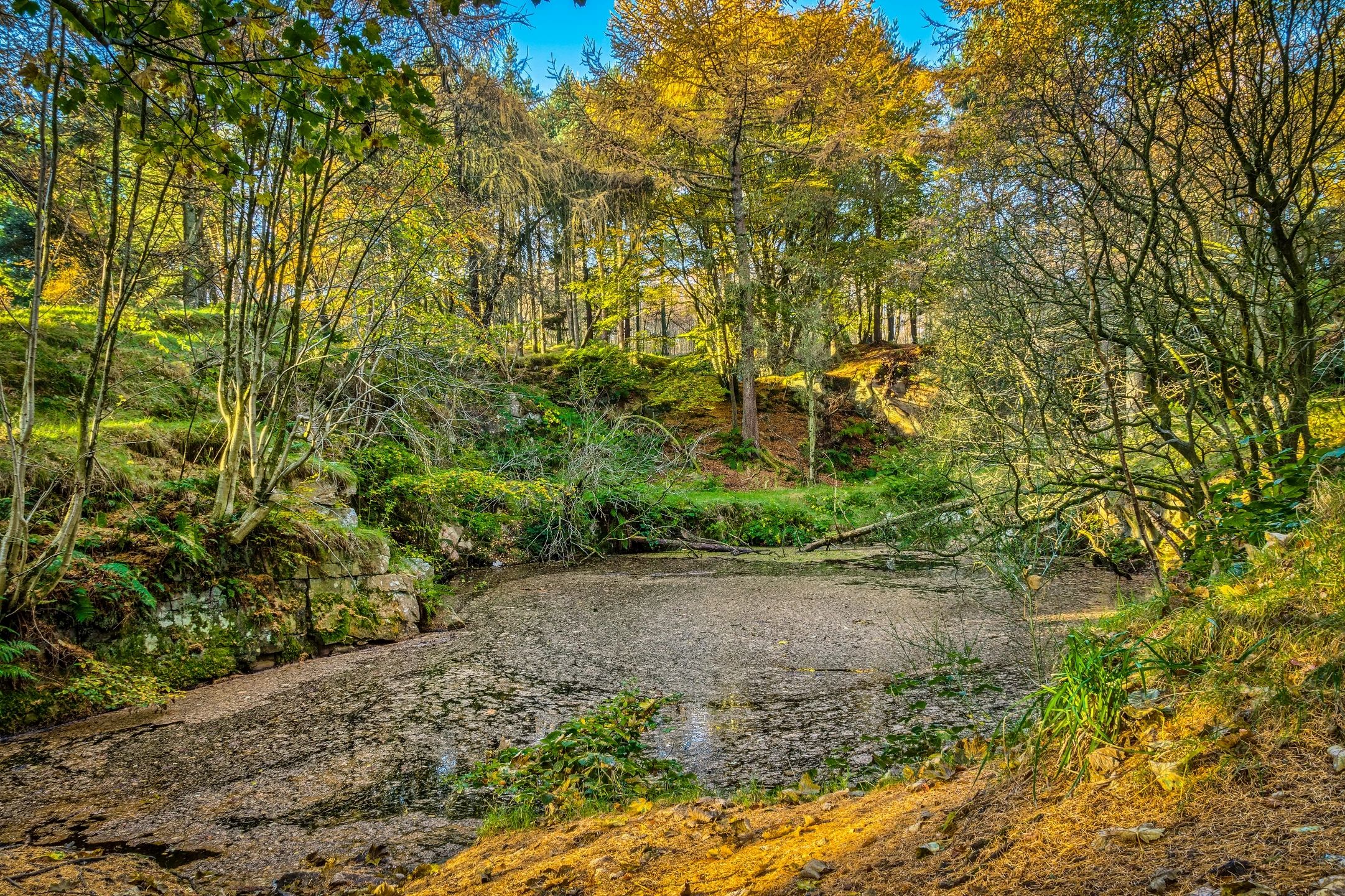 About Us | Tranquility Tribes