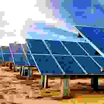 Backbone-North American