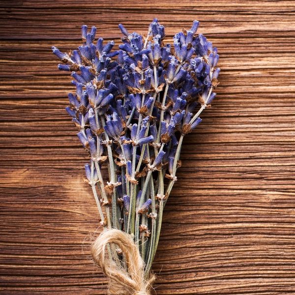 North of Eden Farm - Organic Farm, Our Goats, Our Lavender