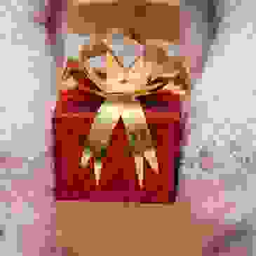 Drives | Stuffed Animals For Emergencies