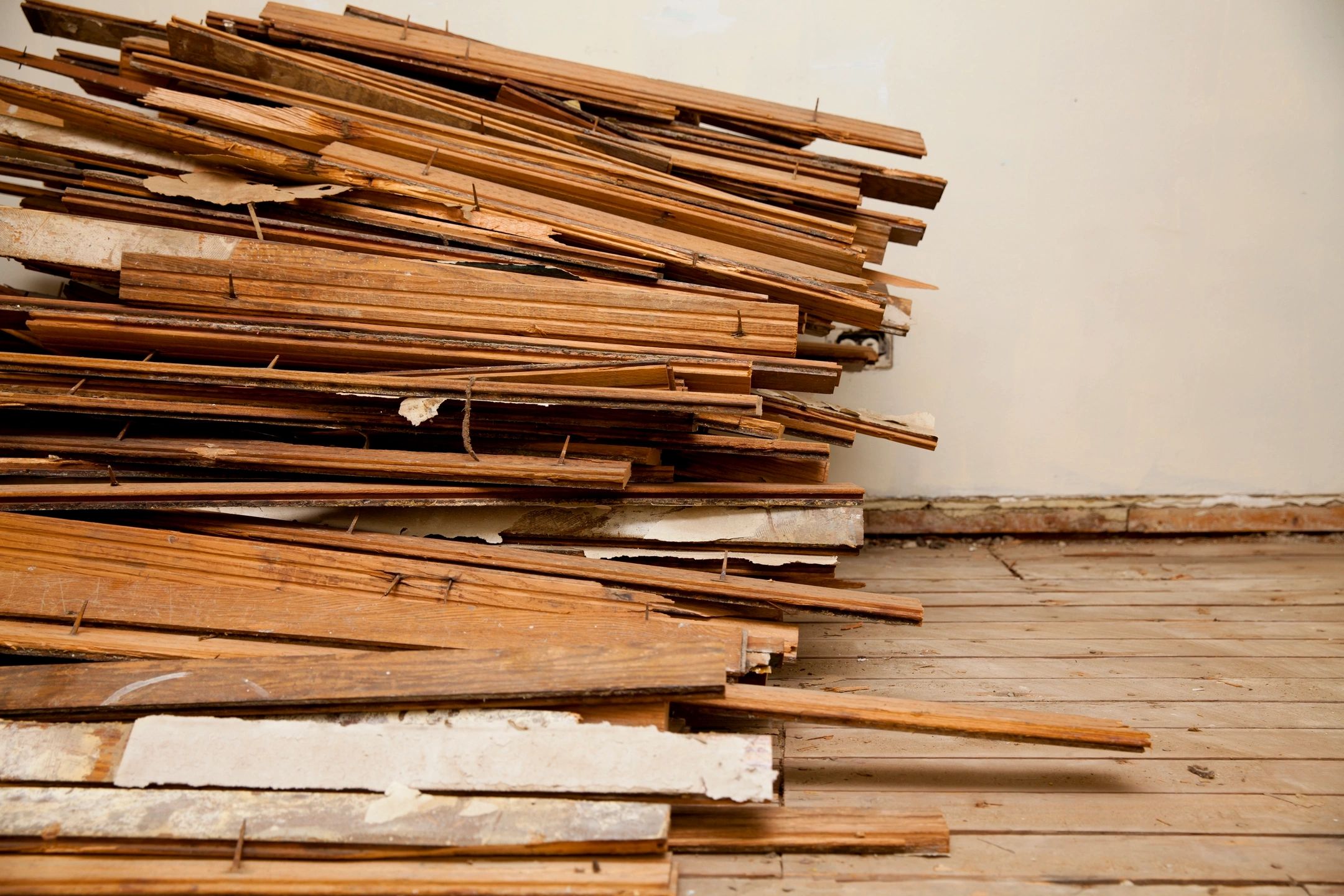 Top Junk Movers in Texas - TexasTrashKings