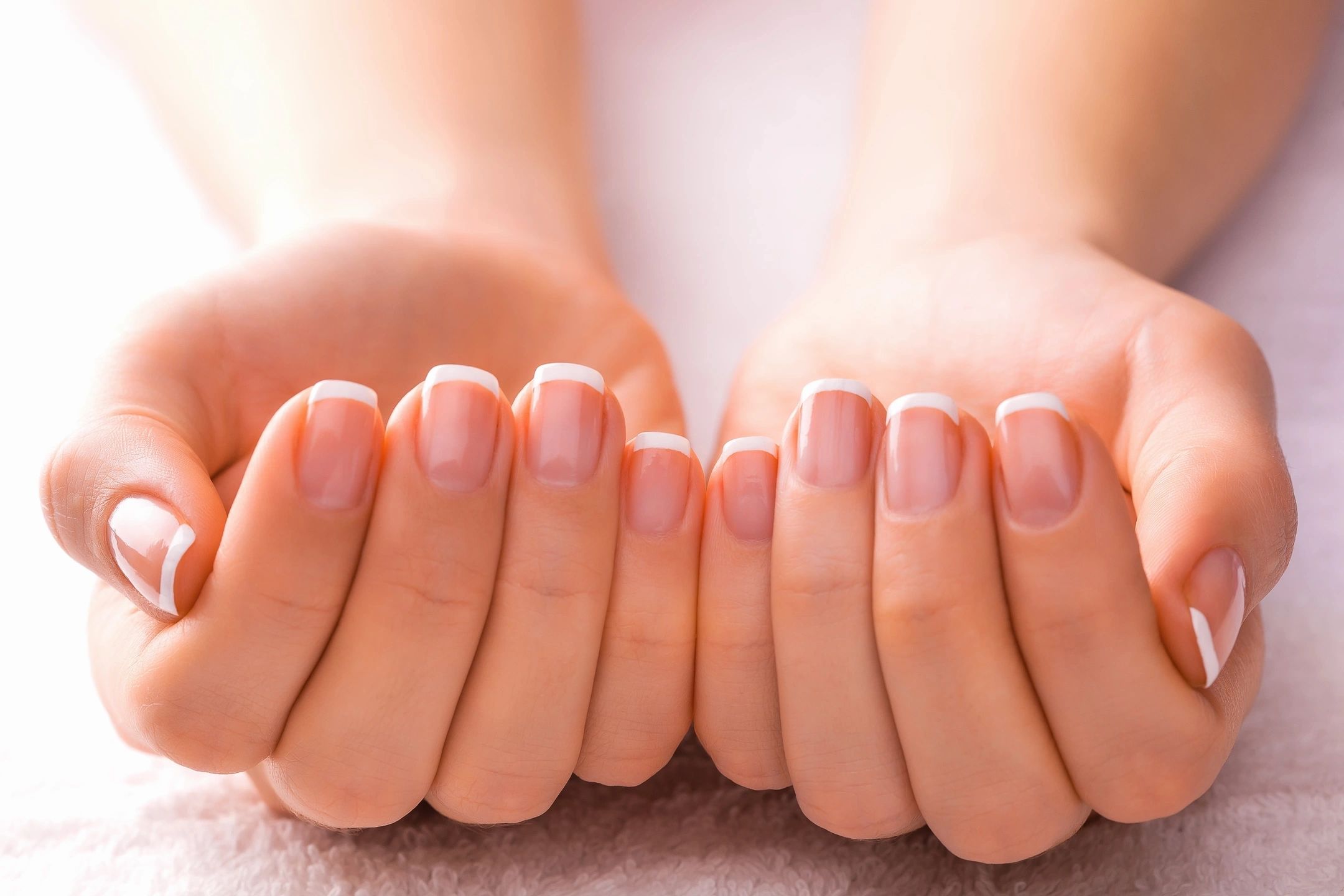 Pedi N Nails North Service