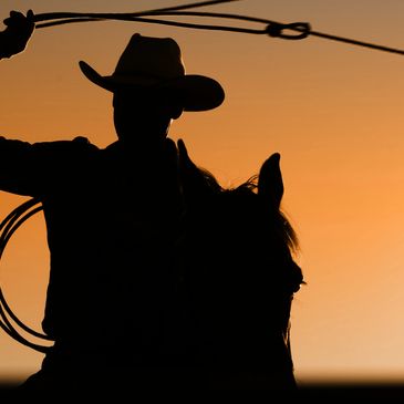 Line Up | Tweed Stampede