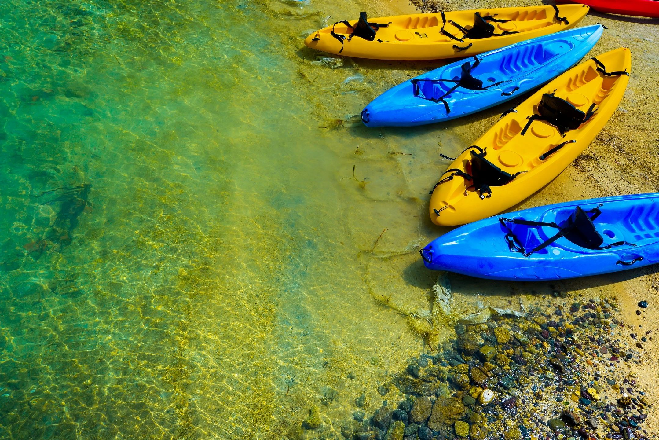 Discover the Best Kayaking Spots in Florida for Engineers