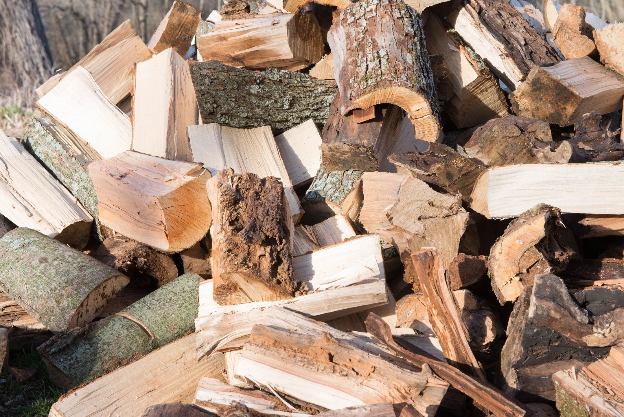 Delaware Bend Timber