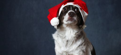 TITANIUM CYLINDERS | HW100TUNING