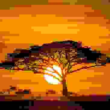 X2X Group - Data Center Consulting, Mission Critical Design