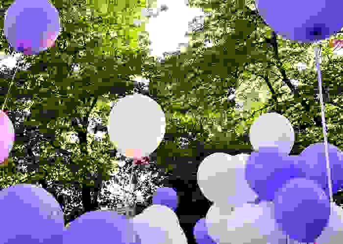 Balloon Decorations, Catering, Cupcakes - Balloon Pantry