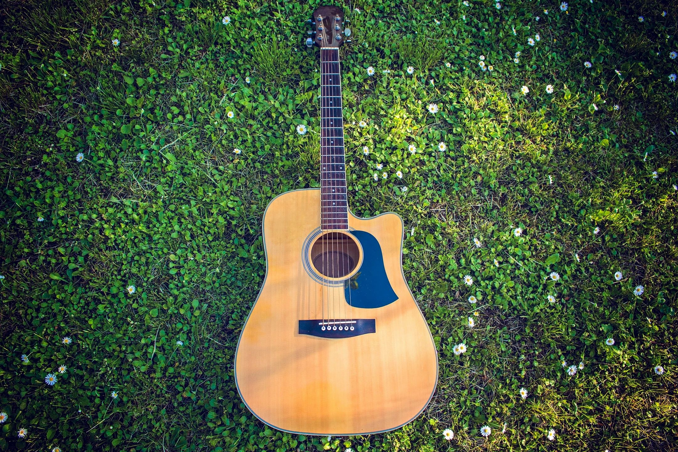 Music Therapy Willow Song Music Therapy Services