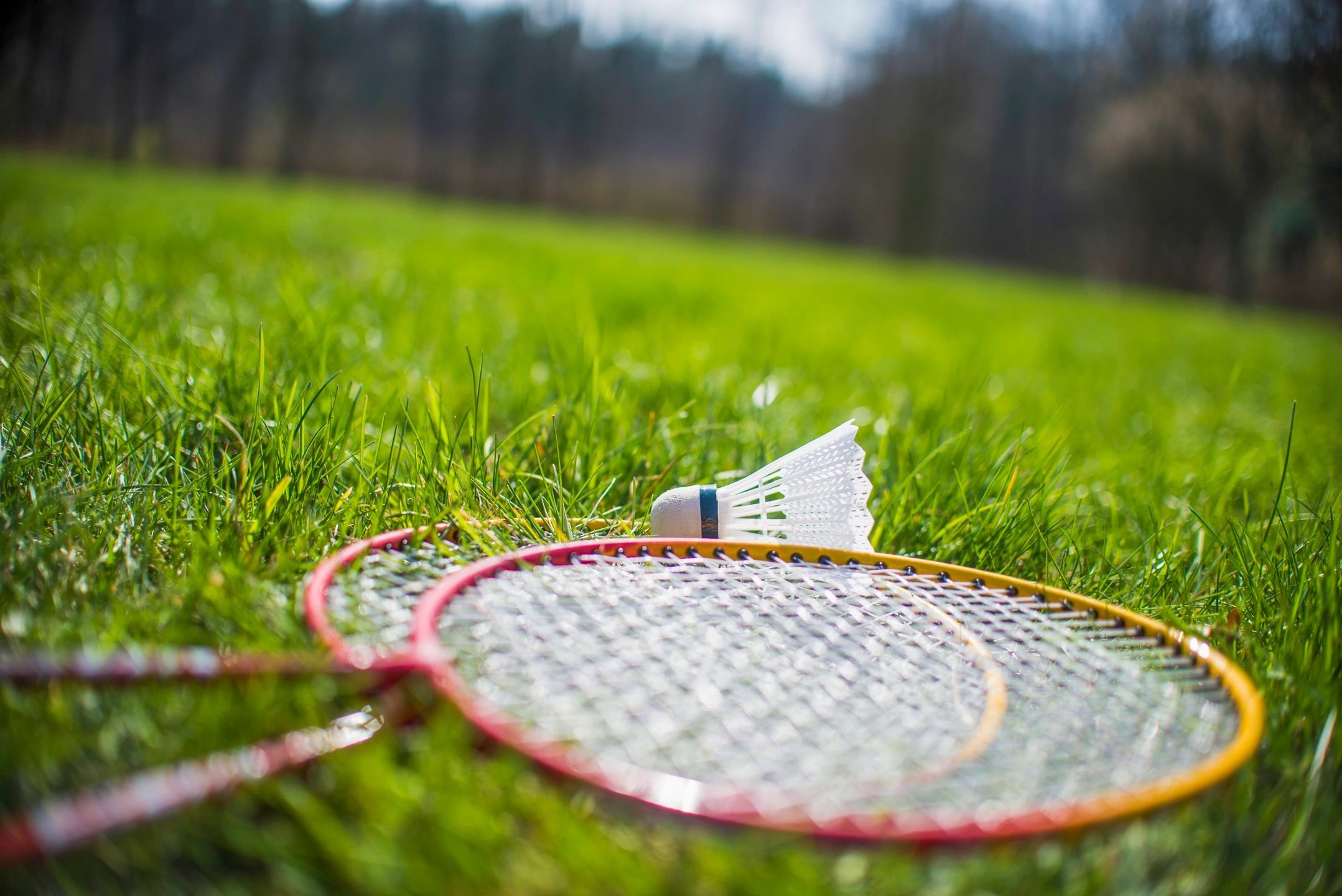Friends United Badminton Club