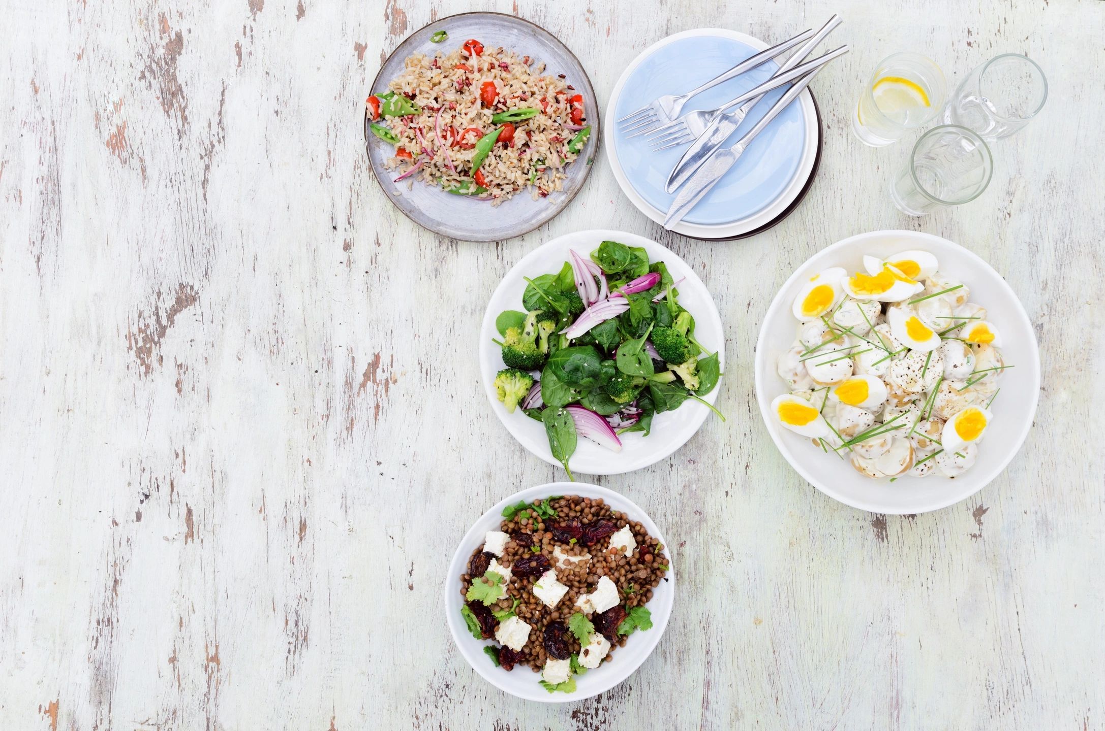 Lunch Plates