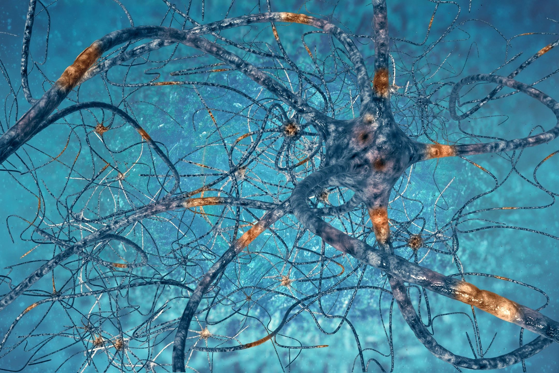 Eywa Neuro - Microelectrodes, Ecog, Flexible Neural Probes