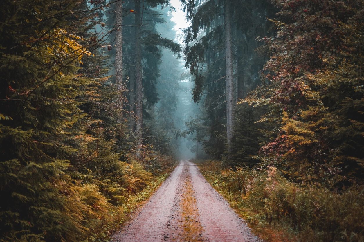 Colleen Stanton Writes