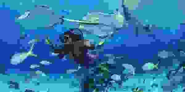 SeaDaddys "Where The Fun Is" - Home