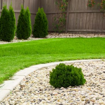 Lawn Fertilization in Commerce Charter Township - Top Lawn