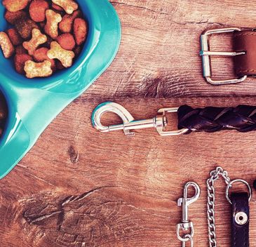 Pet Vittles & Wild Bird West - Pet Food, Wild Bird Seed