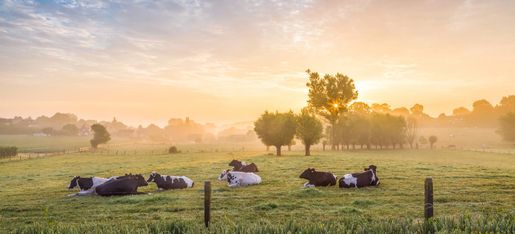 La Vista Ranch - Newest ETX Venue - Longview, Texas