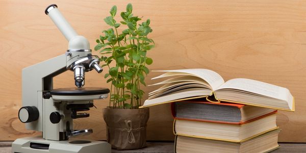 The Evolved Nest - Darcia Narvaez, Darcia Narvaez, Nonprofit, Niche