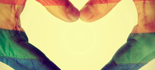 Michael MANCINELLI (EI) - Health and Wellness Coaching, Coaching