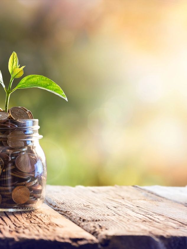 First Step Wealth Planner