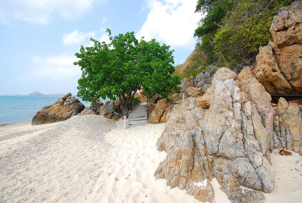 Wildlife Conservation & Beach Cleaning Initiatives