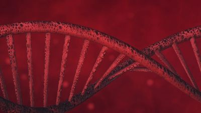 Laboratory Services | Helix Molecular Solutions