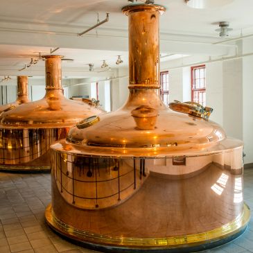 PoCo Brothers Brewing