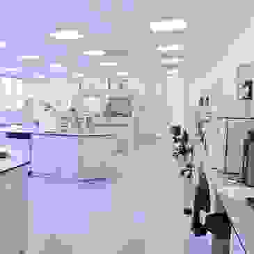 Dermatopathology - New England Tissue Issue, Inc.