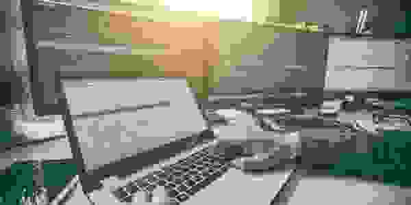 E-Net Solutions Inc.