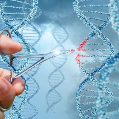 Oncosimis Biotech Pvt Ltd - Home